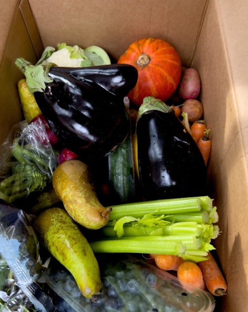 odd-box-delivery-kit