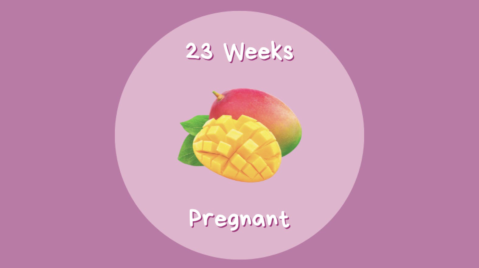 You and your baby at 23 weeks pregnant