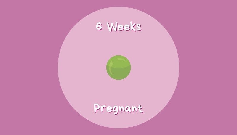 Week By Week | Pregnancy | Mother & Baby