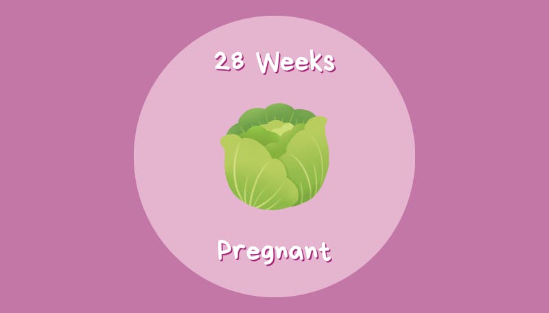 28 weeks pregnant: baby development and symptoms