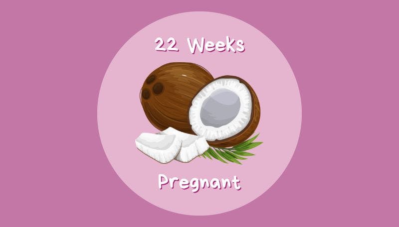 22 weeks pregnant: advice, symptoms and what to expect