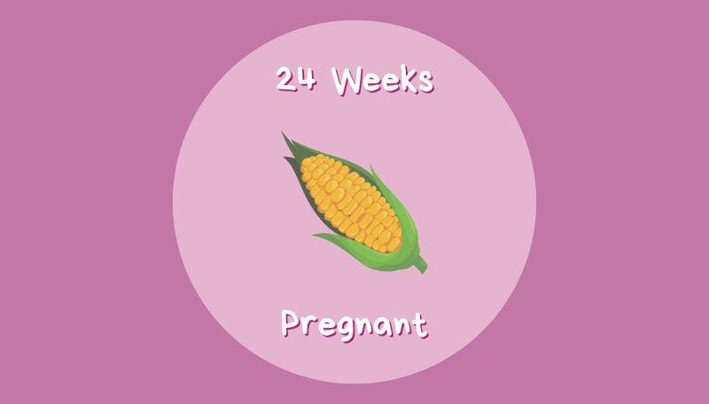 24 weeks pregnant: baby development & symptoms