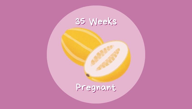 35 weeks pregnant: advice, symptoms and what to expect