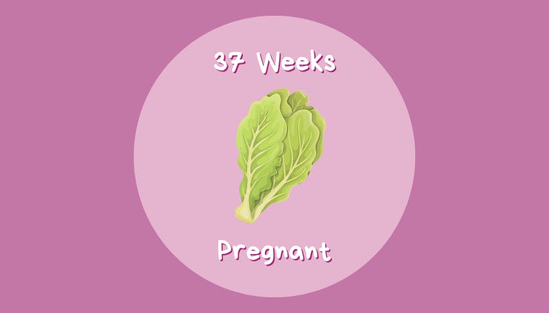 37 weeks pregnant: advice, symptoms and what to expect