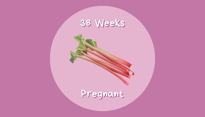 38 weeks pregnant: baby development and symptoms
