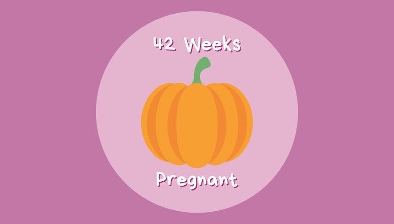42 weeks pregnant: advice, symptoms, and what to expect | Pregnancy ...