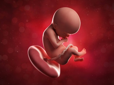 21 weeks pregnant: advice, symptoms and what to expect