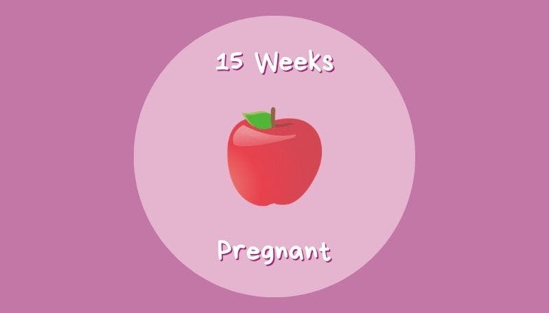 15 weeks pregnant: baby development and symptoms