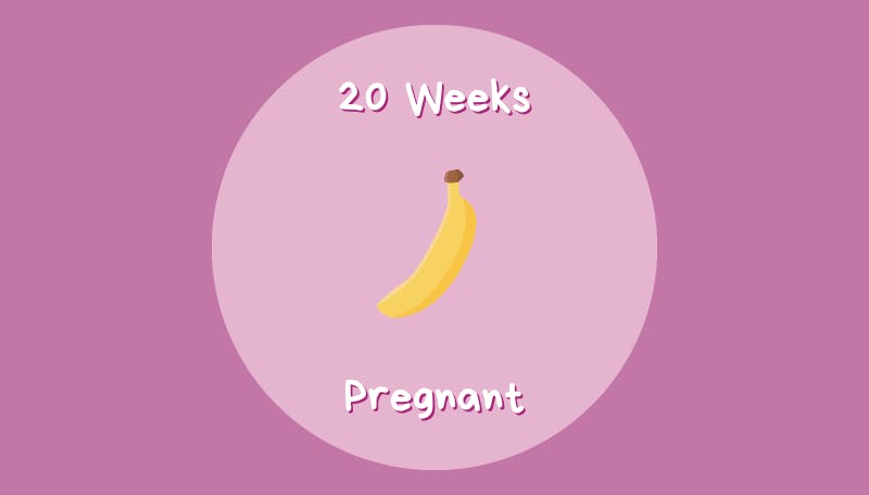 You and your baby at 20 weeks pregnant