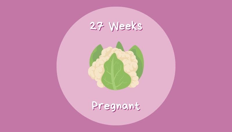 27 weeks pregnant: baby development and pregnancy symptoms