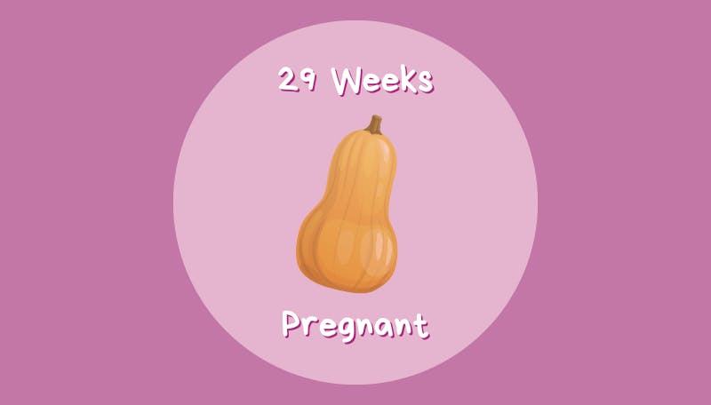 29 weeks pregnant: advice, symptoms and what to expect