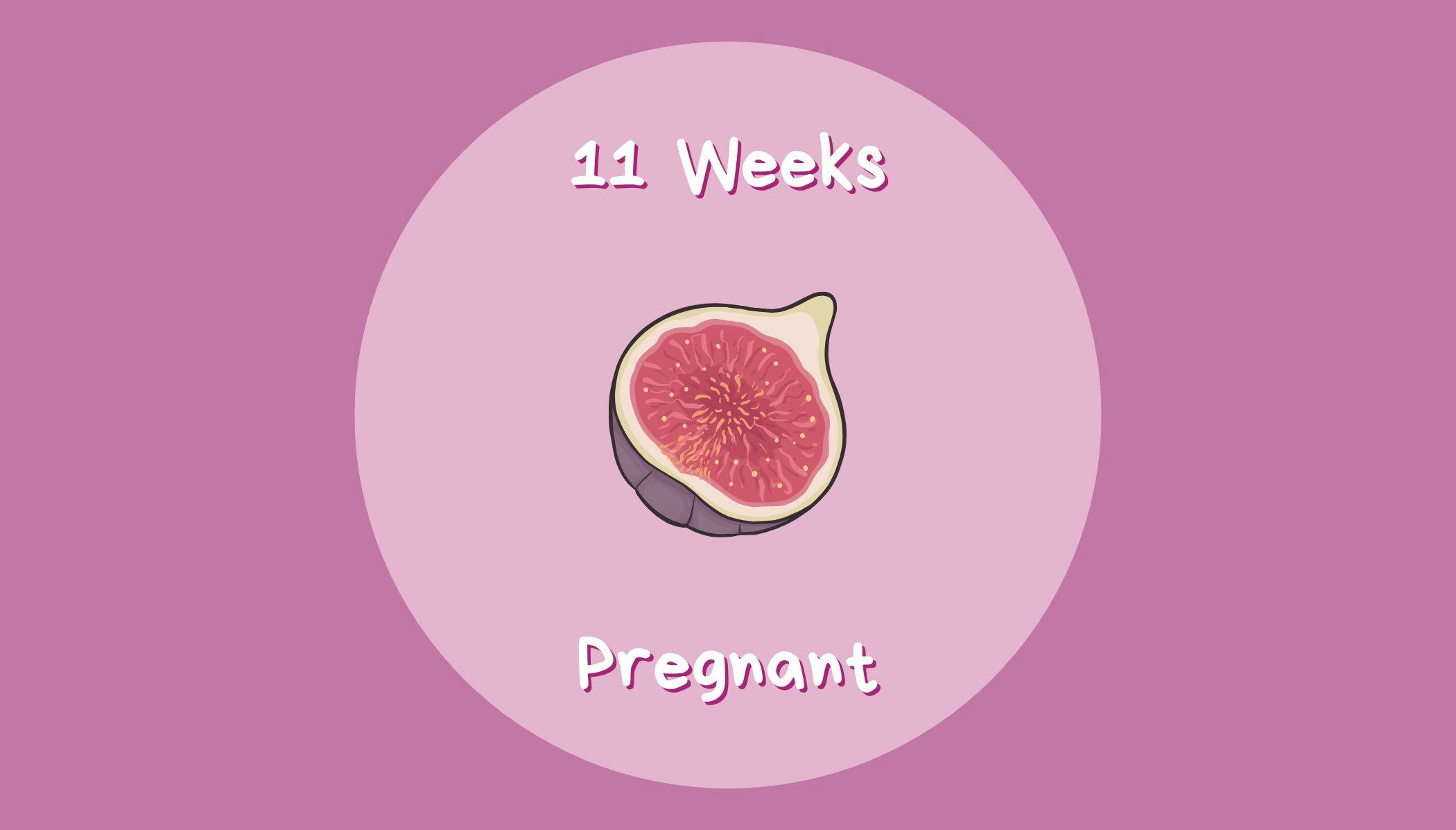 Week By Week | Pregnancy | Mother & Baby