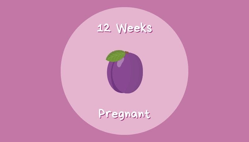 12 weeks pregnant: bump, scans, symptoms and development
