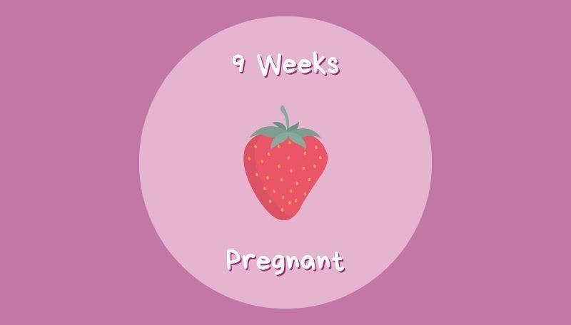 9 weeks pregnant: Symptoms, baby development and advice