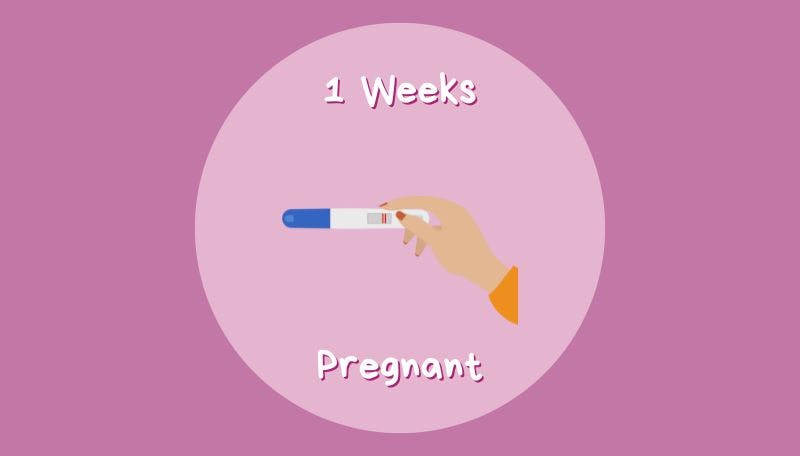 Everything to know about your body at 1 week pregnant