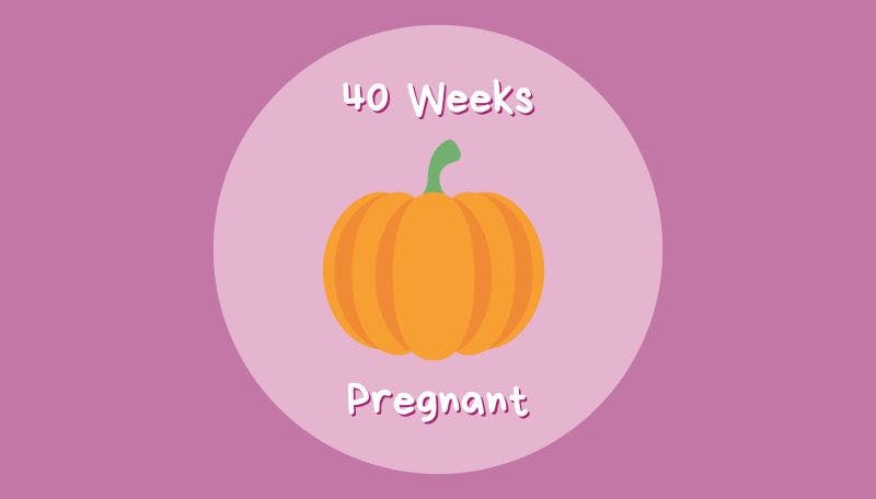 You and your baby at 40 weeks pregnant