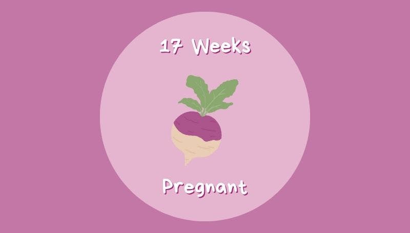 17 weeks pregnant: advice, symptoms and what to expect
