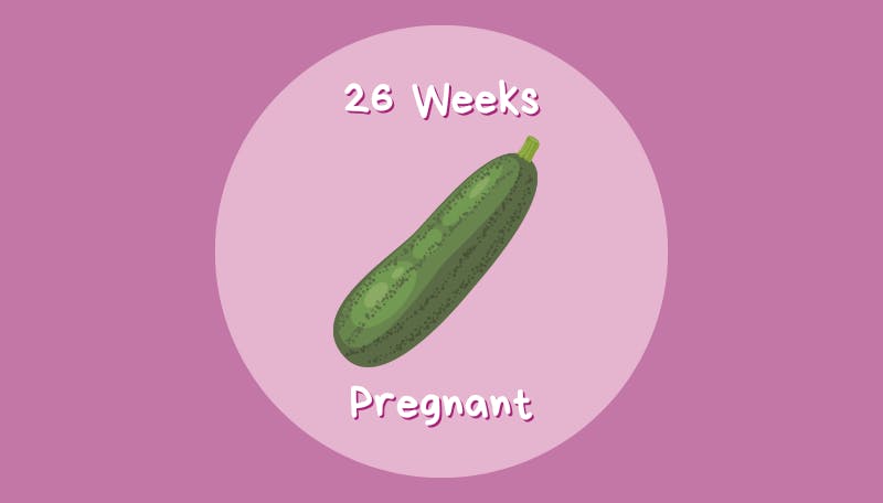 26 weeks pregnant: Advice, symptoms, what to expect and how big is my ...