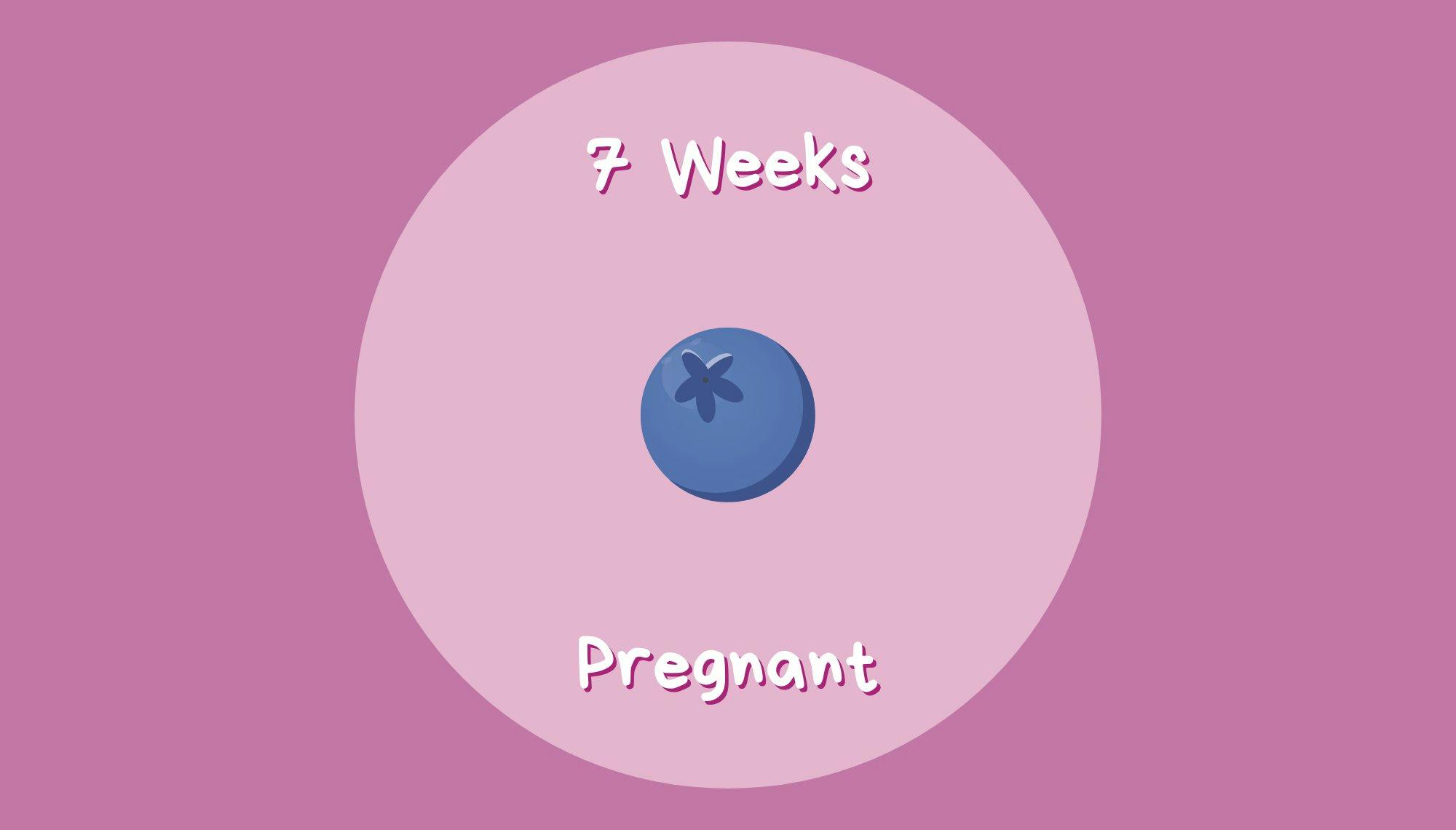 Week By Week | Pregnancy | Mother & Baby