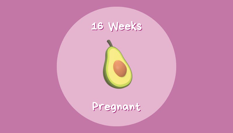16 weeks pregnant: bump, symptoms and what to expect