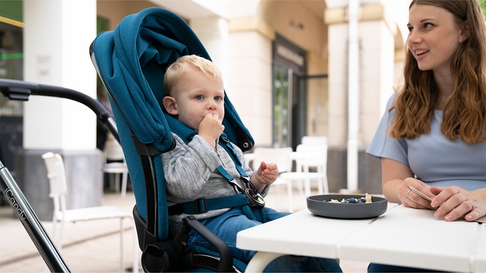 iCandy Core Bundle Review