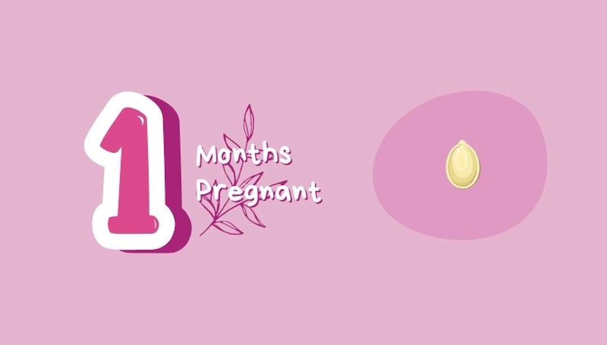 Your pregnancy month by month