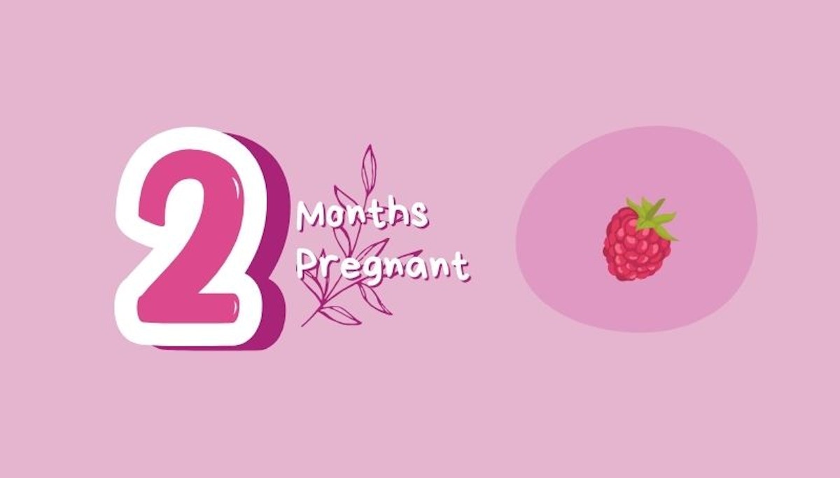 Your pregnancy month by month