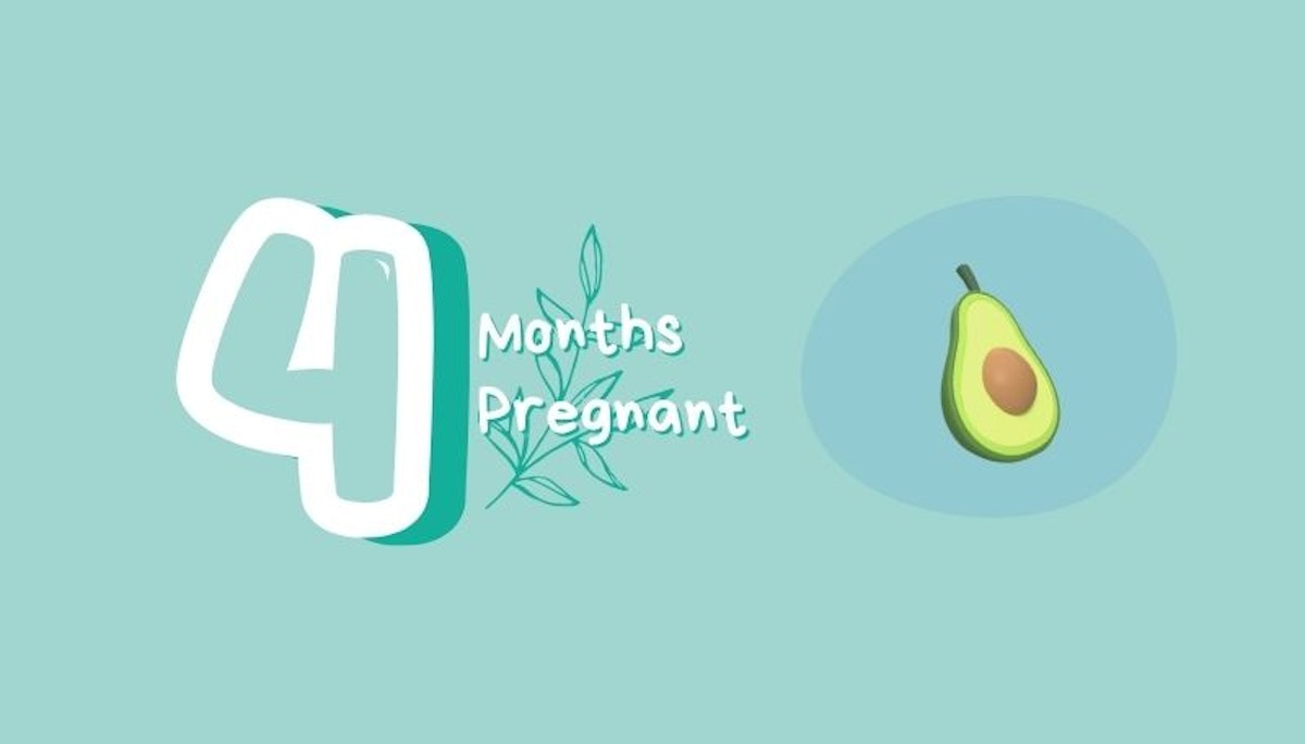 Your pregnancy month by month