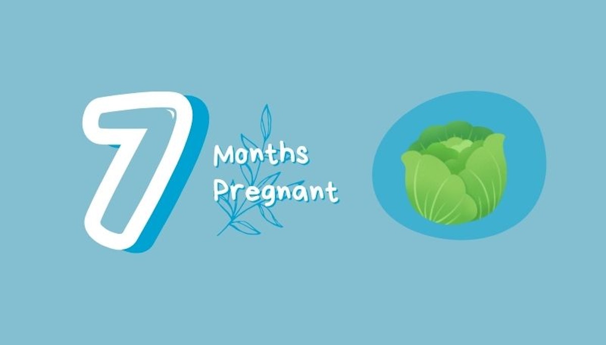 Your pregnancy month by month
