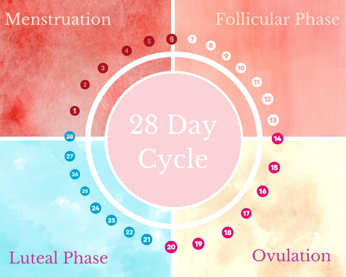 How many days after my period can I get pregnant?