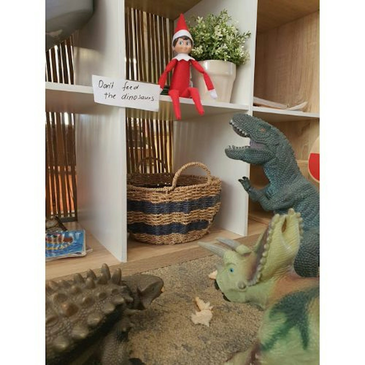 91 easy Elf on the Shelf ideas for 2024