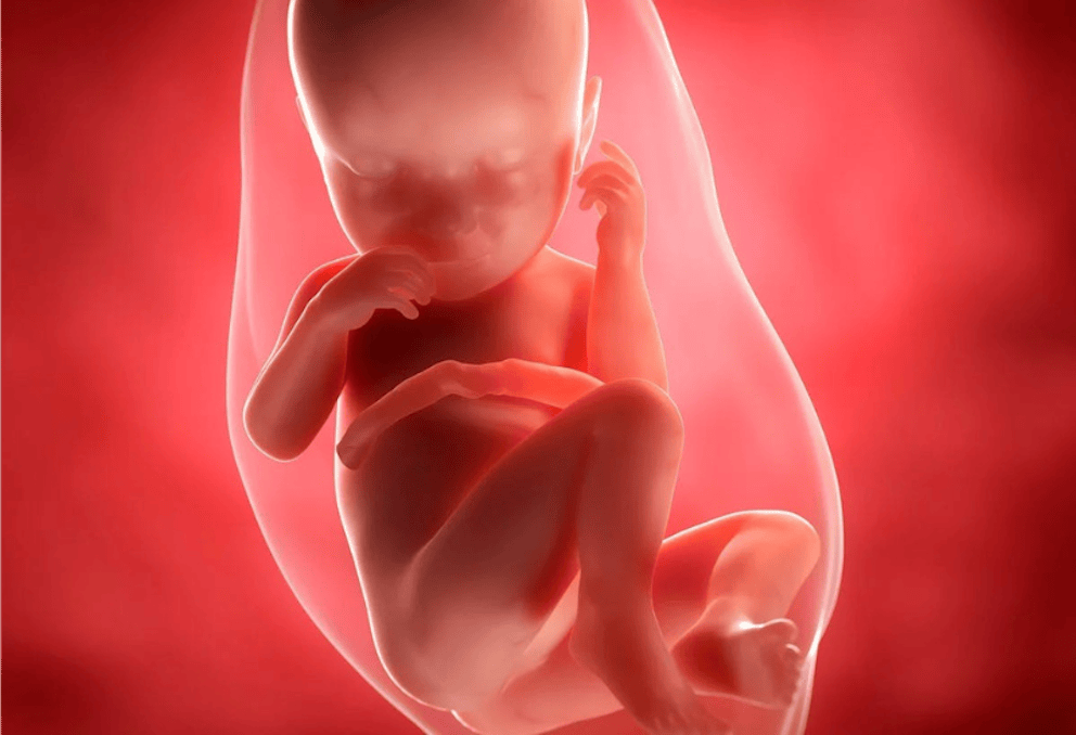 37 weeks pregnant: advice, symptoms and what to expect