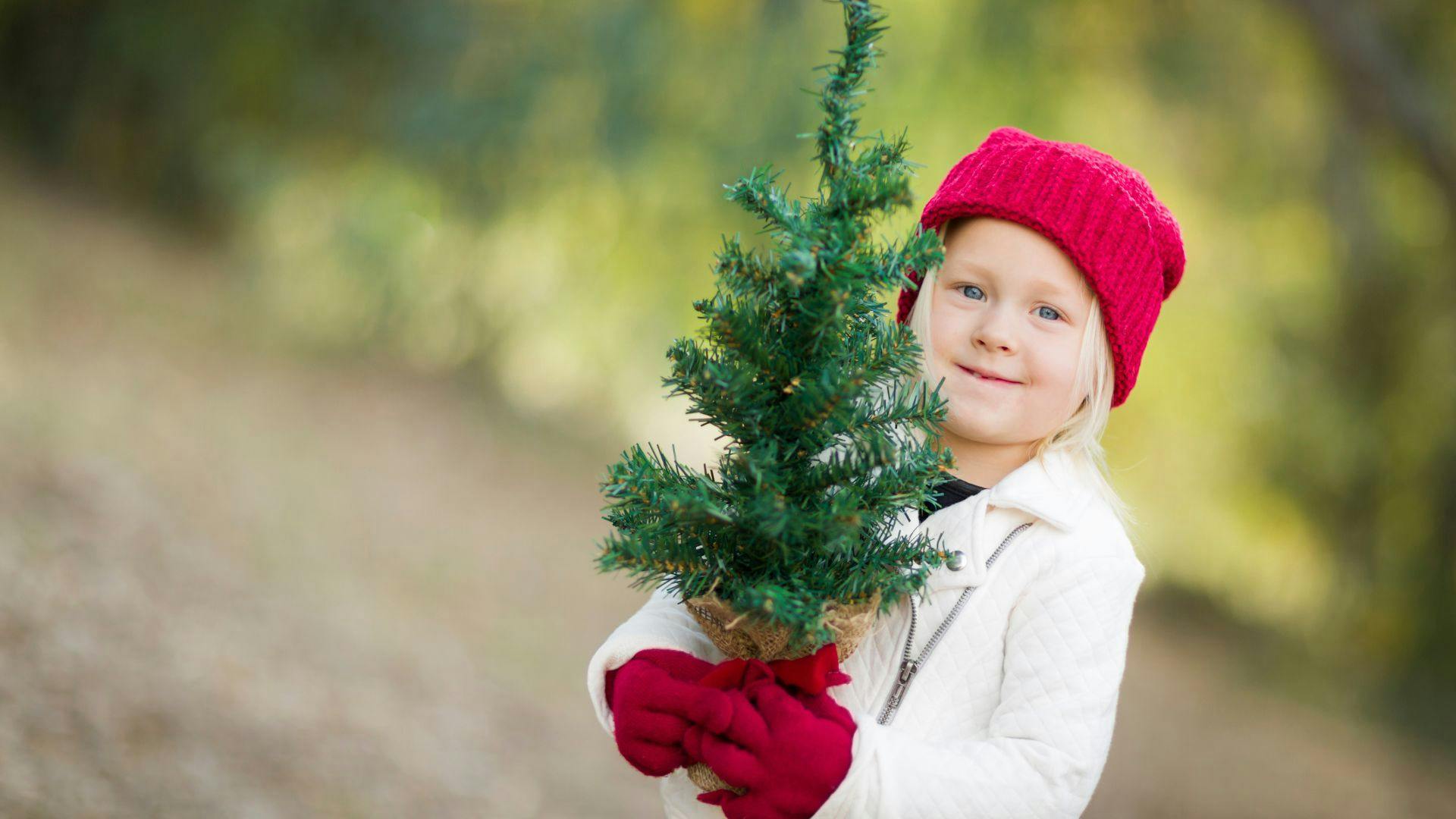 The best children's Christmas tree