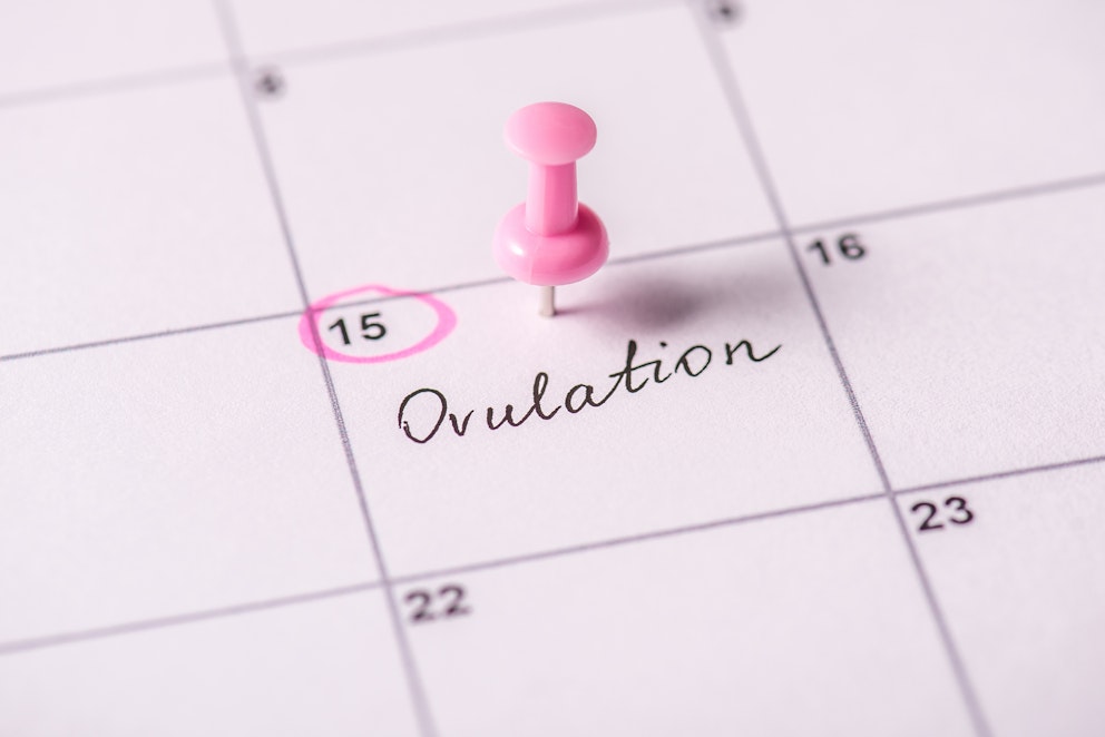 Ovulation symptoms: 8 signs that indicate you’re ovulating