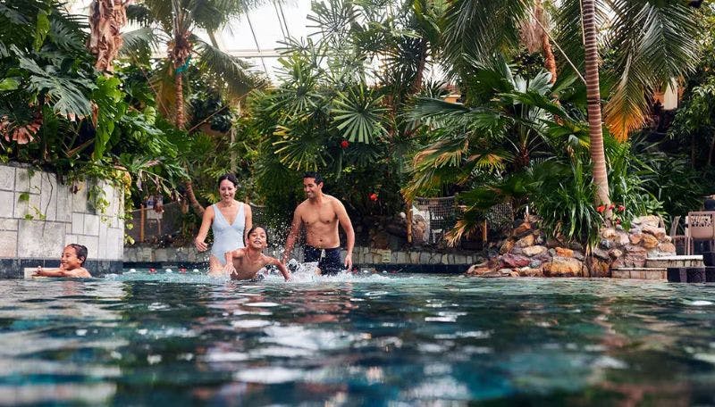 Discover the best Center Parcs across Europe for families