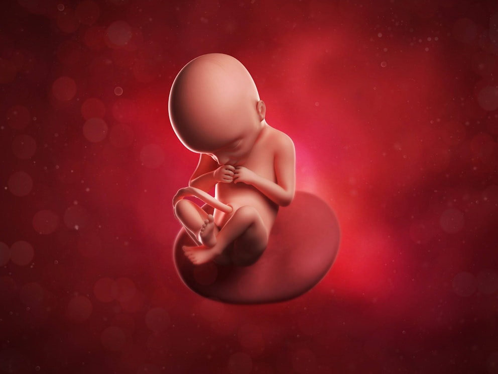 22 weeks pregnant: advice, symptoms and what to expect