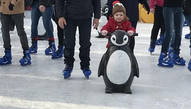 The 16 best ice rinks for family fun 2024
