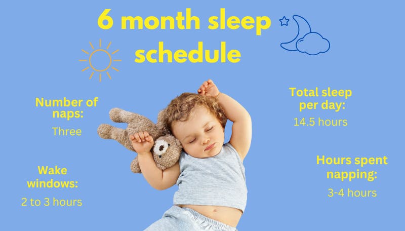 6 month baby sleep schedule