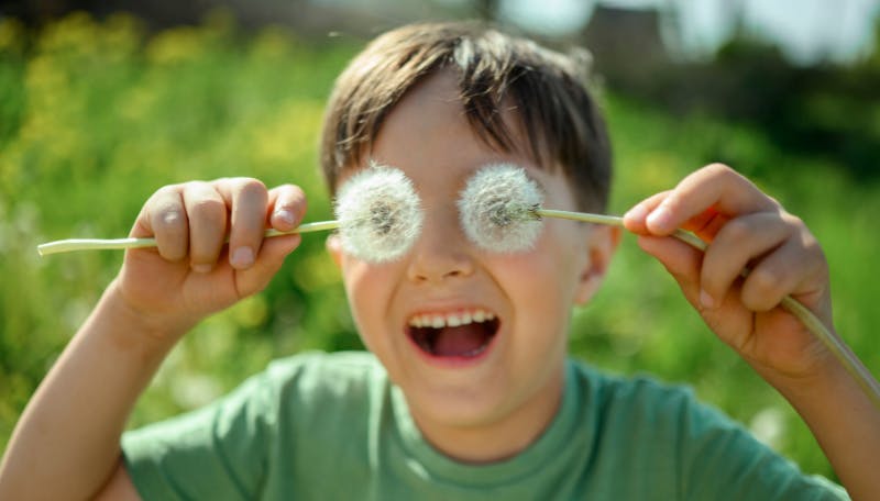 What is a dandelion child?