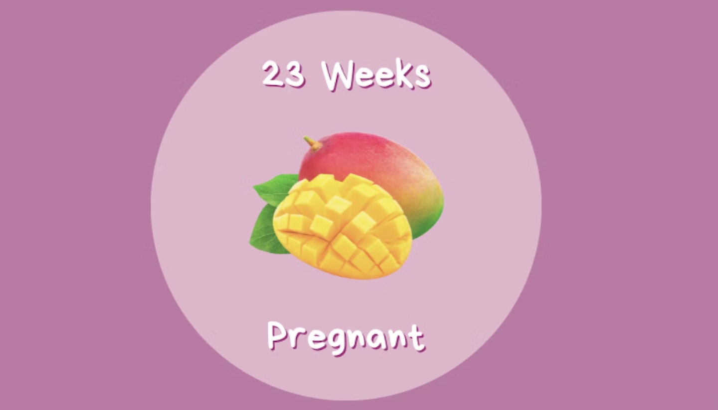 Pregnancy symptoms, baby development at 23 weeks pregnant