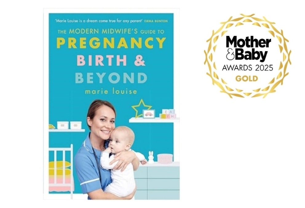 The Modern Midwife's Guide to Pregnancy review