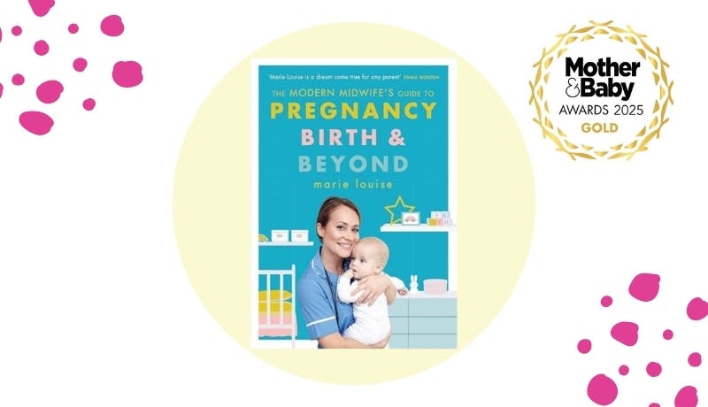 The Modern Midwife's Guide to Pregnancy review