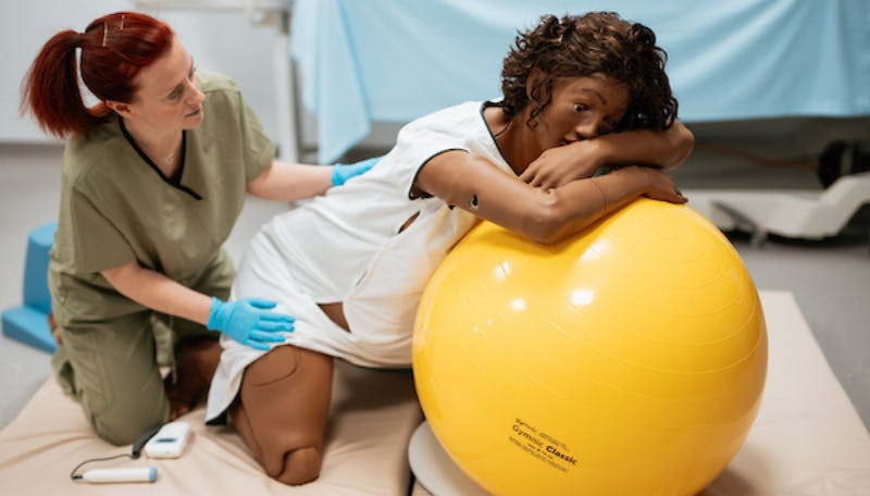 Could Mama Anne revolutionise UK midwifery training?