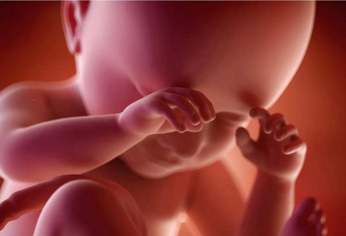 42 weeks pregnant: advice, symptoms, and what to expect | Pregnancy ...