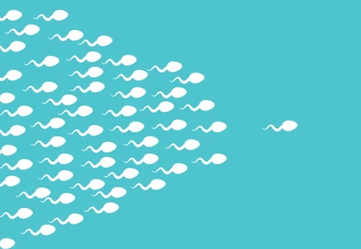 How to increase sperm count when trying to conceive