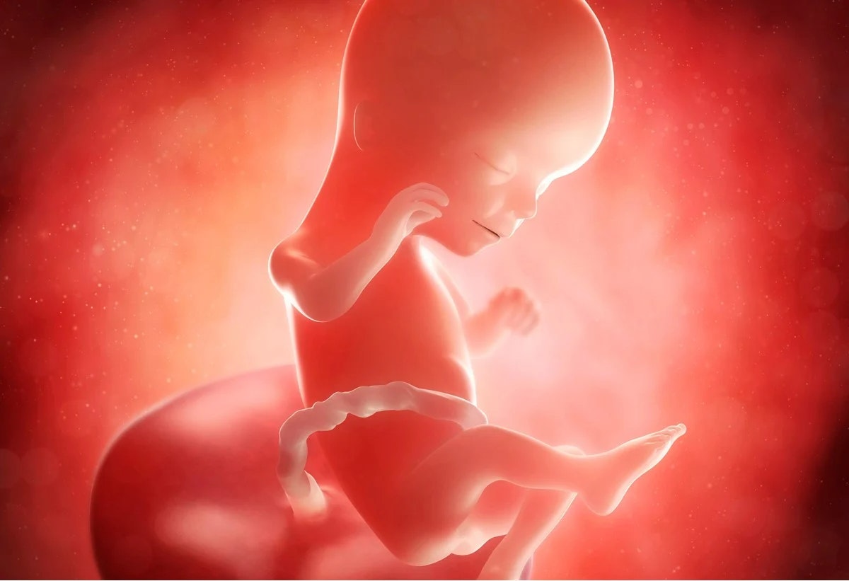 Pregnancy symptoms and baby development at 4 months