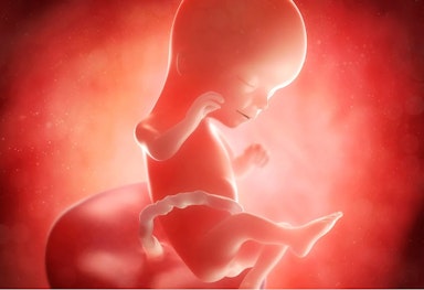 16 weeks pregnant: bump, symptoms and what to expect