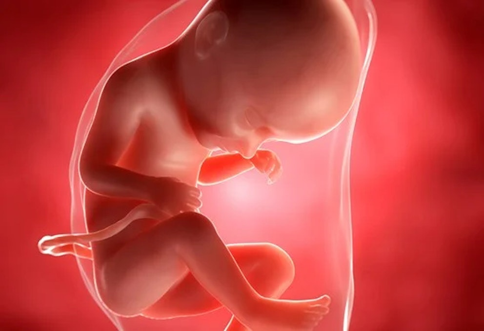 33 weeks pregnant: Symptoms, baby weight and number of months