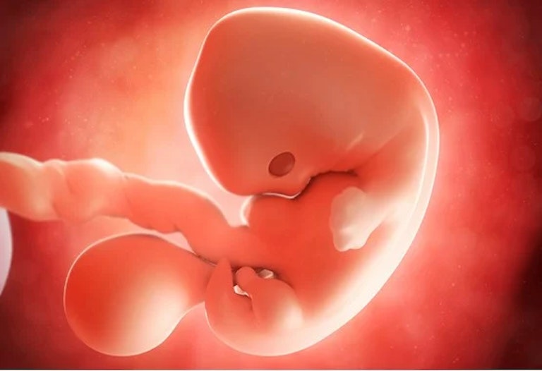 7 weeks pregnant: symptoms, advice, and what to expect