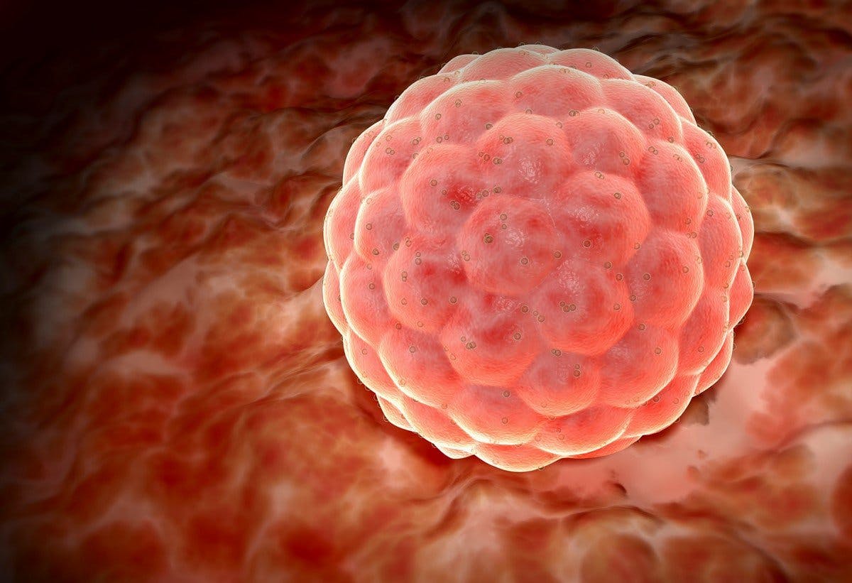 4 weeks pregnant: Advice, symptoms and what to expect